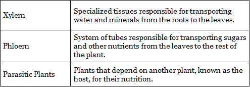 Nutrition in Plants Class 7 Notes Science Chapter 1 Free PDF