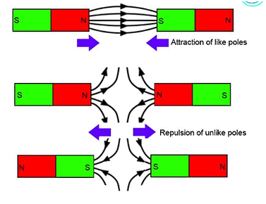 MCQ and Extra Questions: Fun with Magnets - Science Class 6 PDF Download
