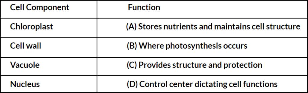 Worksheet: Organisms and Cells - Class 7 PDF Download