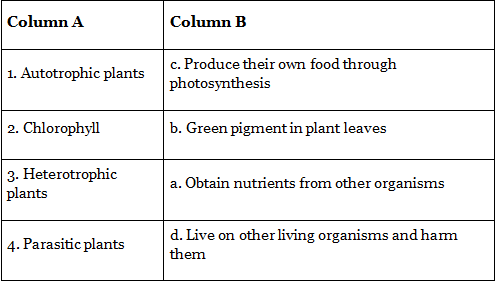 Worksheets With Solutions: Nutrition in Plants - Class 7 PDF Download