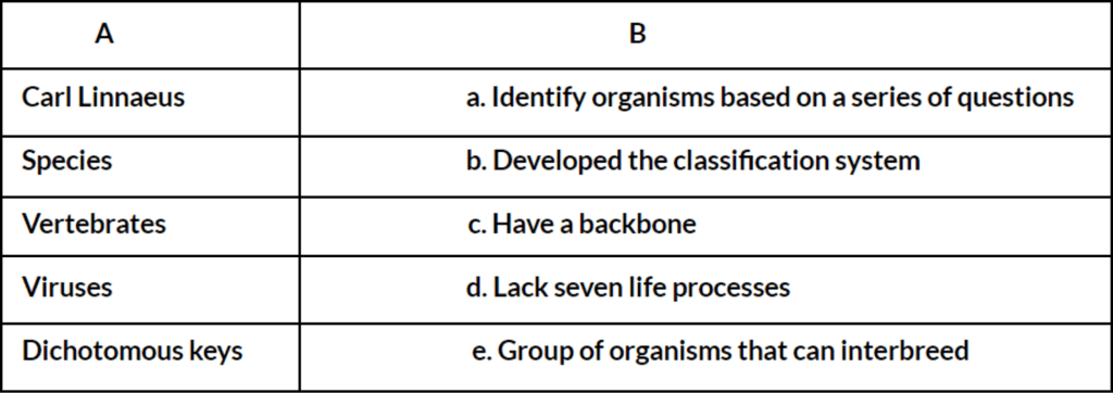Worksheet: Classification - IGCSE Cambridge Science for Year 6 - Class ...