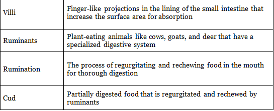 Nutrition in Animals Class 7 Notes Science Chapter 2 Free PDF