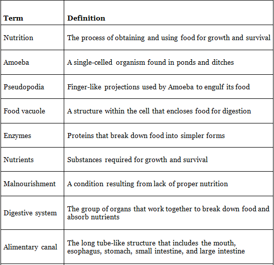 Nutrition in Animals Class 7 Notes Science Chapter 2 Free PDF