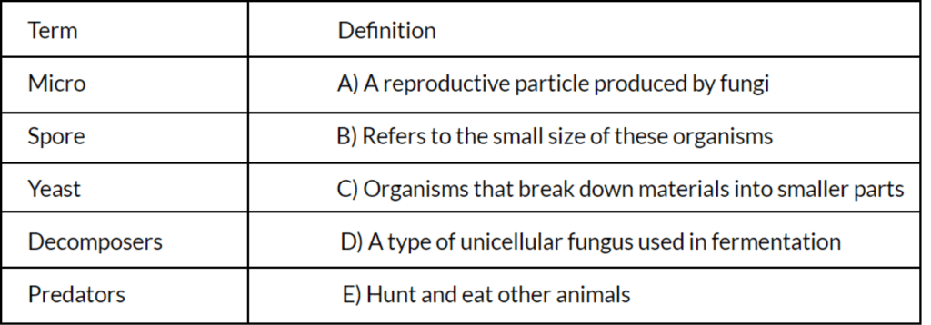 Worksheet: Microorganisms - IGCSE Cambridge Science for Year 6 - Class ...