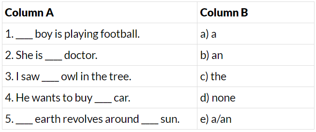 Articles Class 6 Worksheet English Grammar