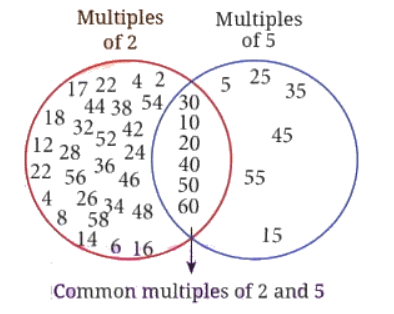 Prime Time NCERT Solutions - Mathematics (Maths) Class 6 PDF Download