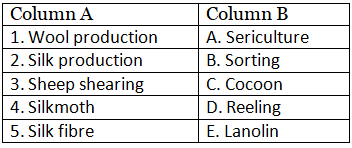 Worksheets With Solutions: Fibre to Fabric Class 5 Worksheet EVS