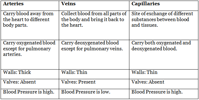 Class 7 Science Chapter 7 Question Answers - Transportation in Animals ...