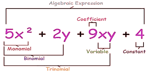 Algebraic Expressions Class 7 Notes Maths Chapter 10 Free PDF