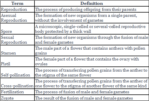 Reproduction in Plants Class 7 Notes Science Chapter 8 Free PDF