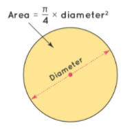 Perimeter and Area of Circles - Mathematics (Maths) Class 7 PDF Download