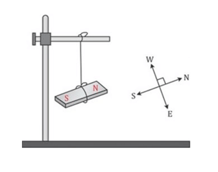 MCQ and Extra Questions: Fun with Magnets - Science Class 6 PDF Download