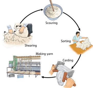 Fibre to Fabric Class 7 Notes Science Free PDF