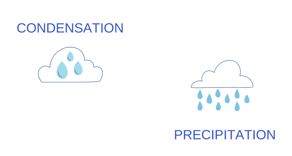 Weather and Climate Chapter Notes - IGCSE Oxford Geography Foundations ...