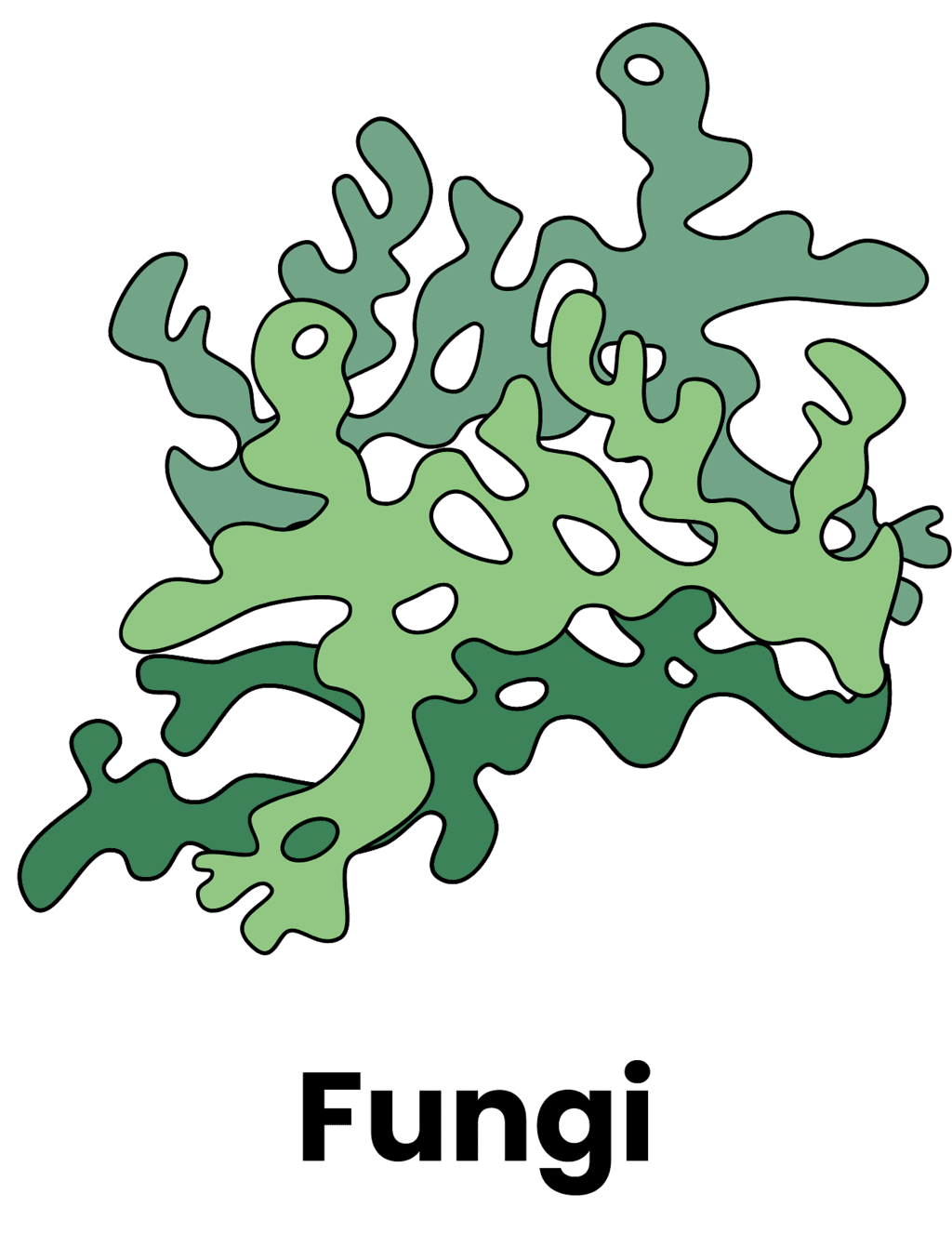 Microorganisms Chapter Notes - IGCSE Cambridge Science for Year 6 ...