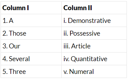 Determiners Class 6 Worksheet English Grammar