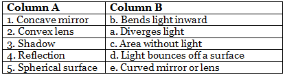 Worksheets With Solutions: Light Class 7 Worksheet Science Chapter 13