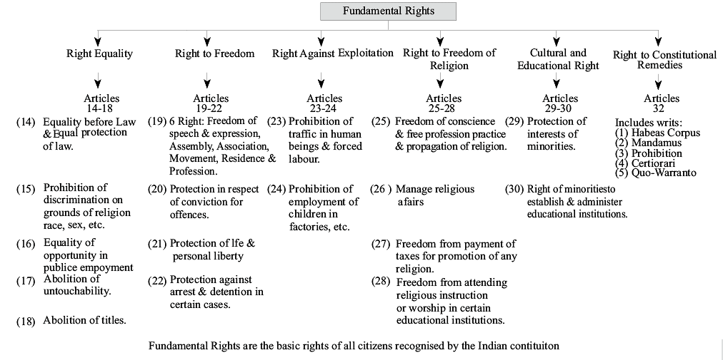 Fundamental Duties and Rights - GK Olympiad for Class 6 PDF Download