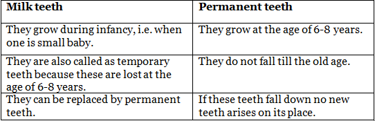 Class 7 Science Chapter 2 Question Answers - Nutrition in Animals