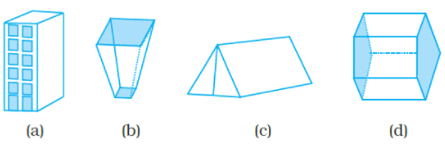 NCERT Exemplar Solutions: Visualising Solid Shapes - Mathematics (Maths ...