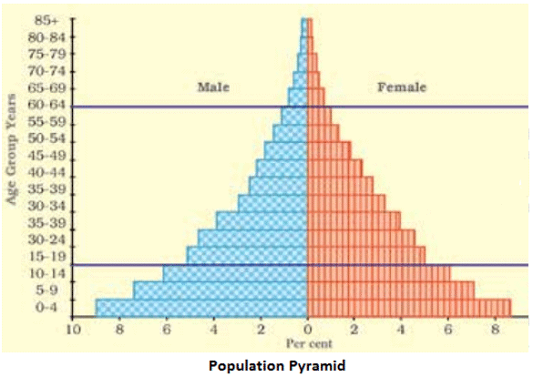 Human Resources Summary Class 8 NCERT Summary Chapter 5