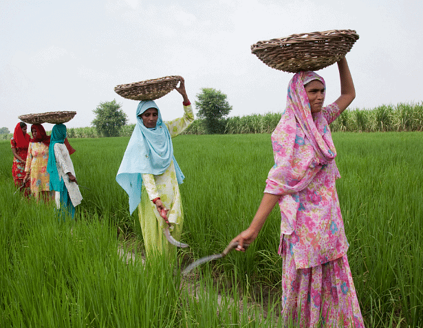 Rural Livelihoods Class 6 Worksheet Civics Chapter 7