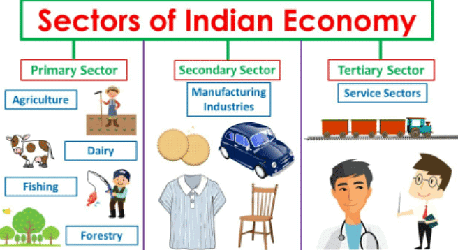 Economic Activities Around Us Chapter Notes - Social Studies (SST ...