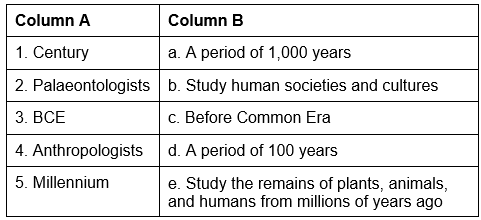 Worksheet Solutions: Timeline and Sources of History - Social Studies ...