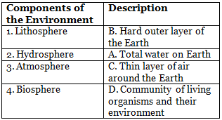 Our Environment Class 3 Worksheet Science