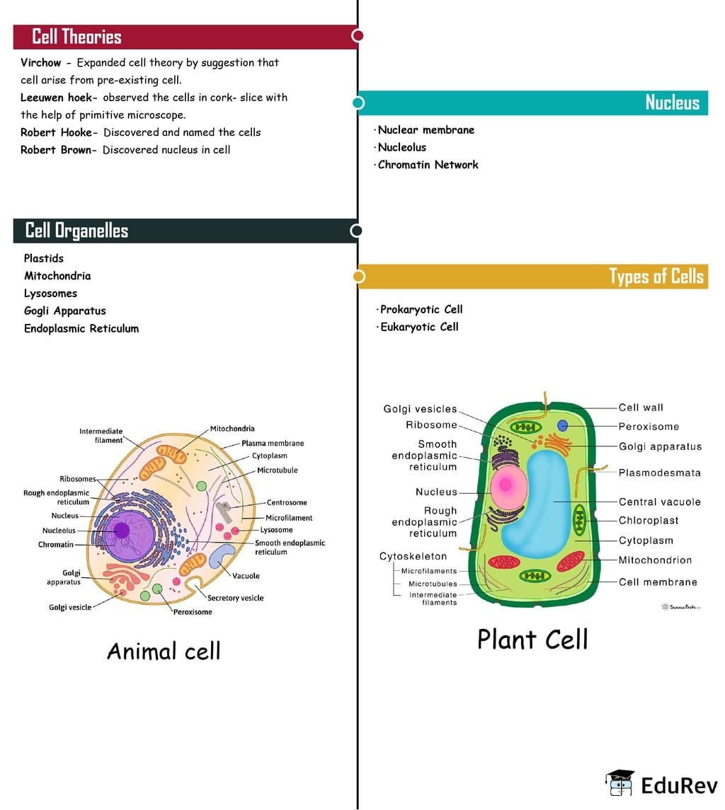 Mindmap: The Fundamental Unit of Life - Science Class 9 PDF Download