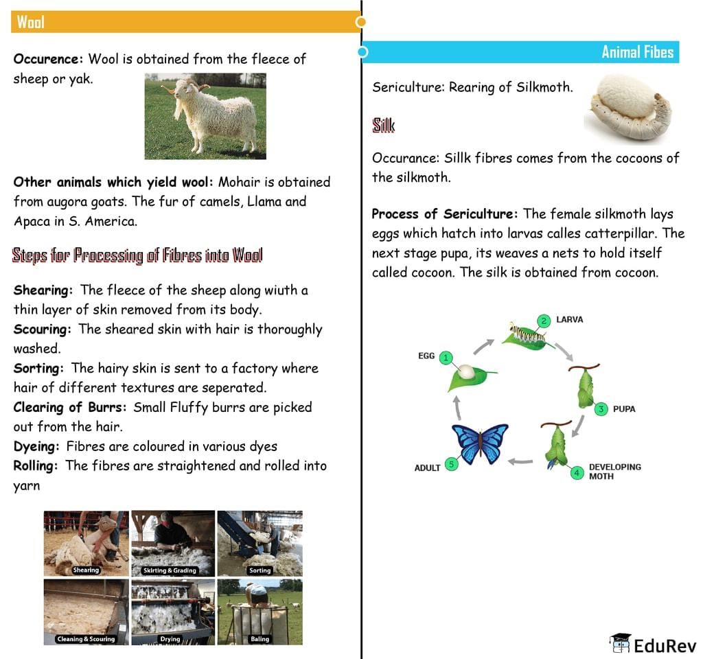 Mindmap: Fibre to Fabric - Subject-Wise Mind Maps for Class 7 PDF Download