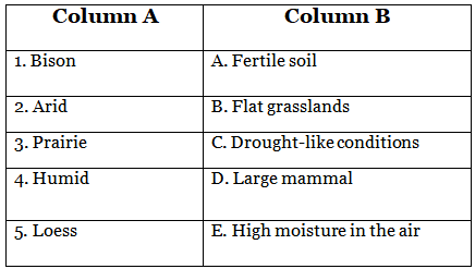 The Temperate Grasslands: Prairies - 2 Class 5 Worksheet SST