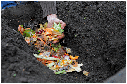 Conservation of Environment Class 5 Notes SST Free PDF