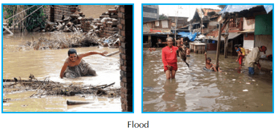 Natural Disasters Class 5 Notes SST Free PDF