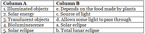 Light, Shadow and Reflections Class 6 Worksheet Science Chapter 8