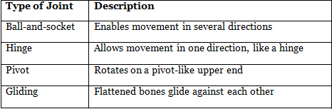 Body Movements Class 6 Worksheet Science Chapter 5