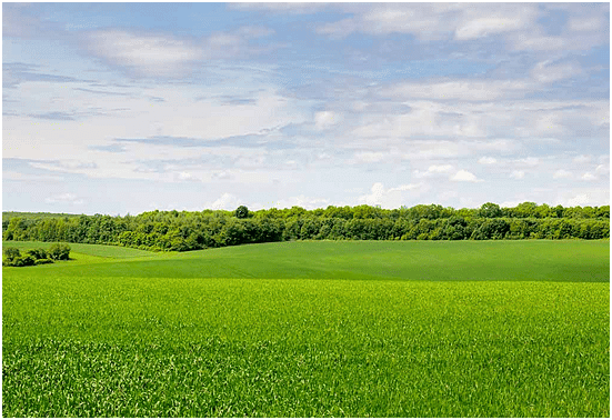 Major Landforms Class 5 Notes SST Free PDF