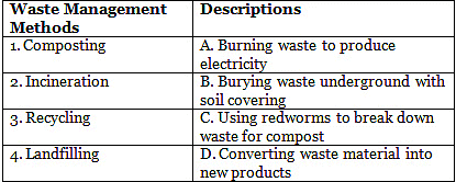 Garbage In, Garbage Out Class 6 Worksheet Science