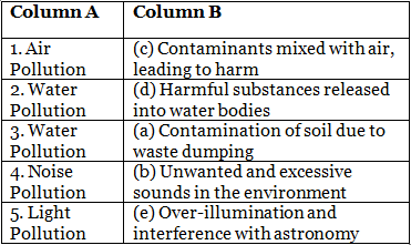 Pollution and Conservation of Environment - 2 Class 5 Worksheet SST