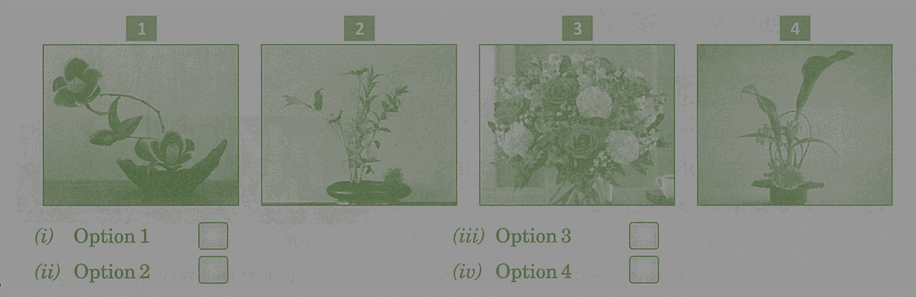 BBC Compacta Class 8 Solutions - Classroom Assignment- 5