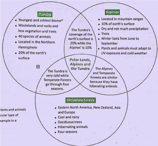 Home Assignment: 17 - Class 10 BBC Compacta Solutions PDF Download