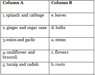 Textbook Solutions: Sources of Food - Eureka Plus Class 6: Book ...