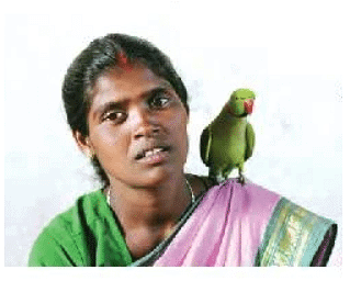 Whose Forests? Class 5 Notes EVS Chapter 20 Free PDF