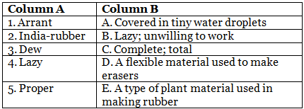 My Shadow Class 5 Worksheet English Marigold Poem 3