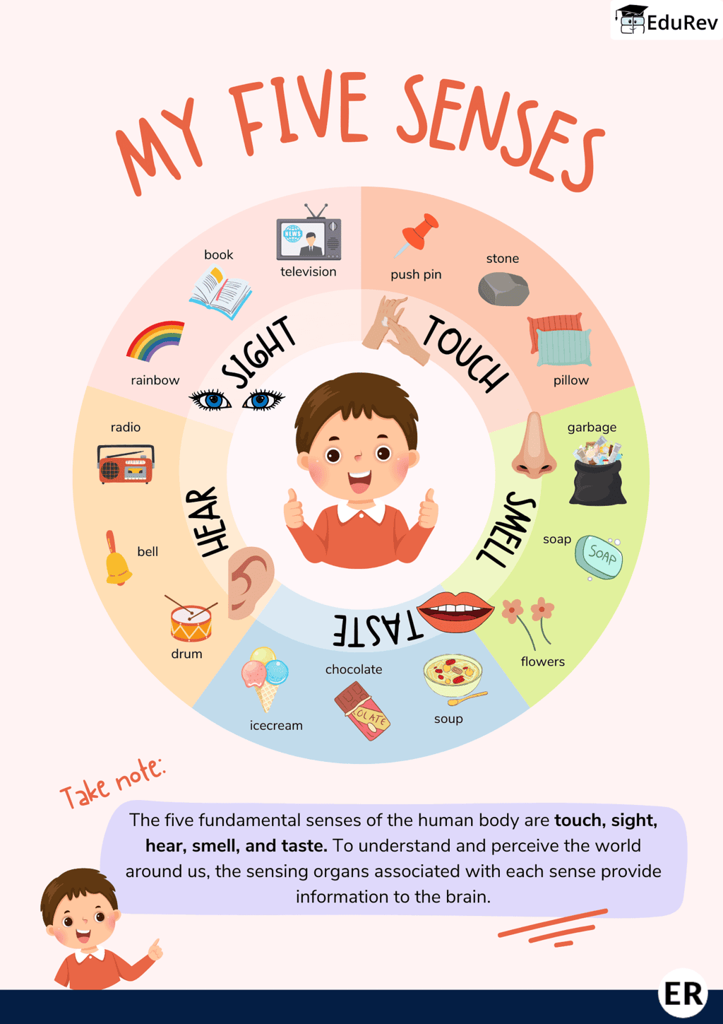 Learning Poster: Sense organs - EVS Class 5 PDF Download