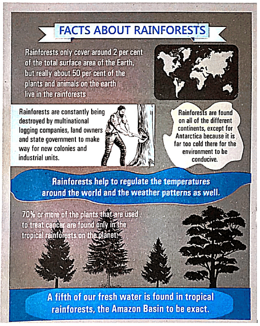 Practice Assignment: 7 - Class 6 BBC Compacta Solutions PDF Download