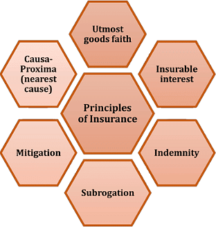 Seven Principles of Insurance - SBI PO Prelims and Mains Preparation ...