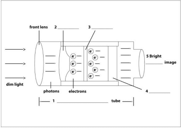 Diagram Label Completion: Practice Test - 7 - Reading for Academic ...