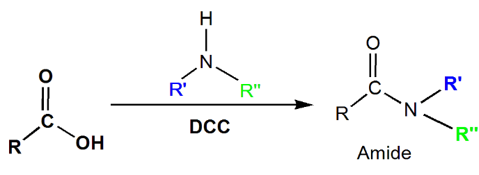 Carboxylic Acid Reactions: Understanding the Transformations and ...