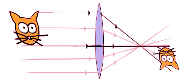 Thin Lenses - Physics for MCAT PDF Download